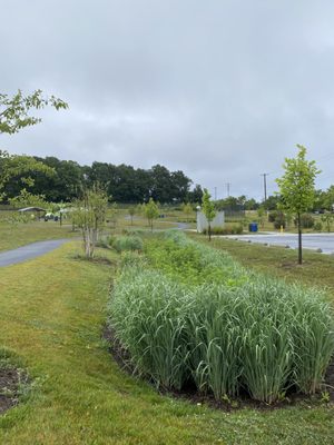 PIEDMONT WOODS LOCAL PARK - Updated October 2025 - 12835 Snowden Farm ...