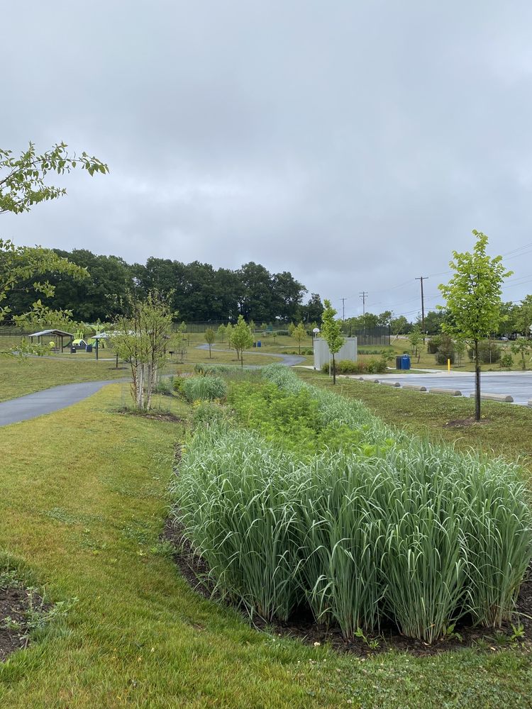 PIEDMONT WOODS LOCAL PARK - Updated October 2025 - 12835 Snowden Farm ...