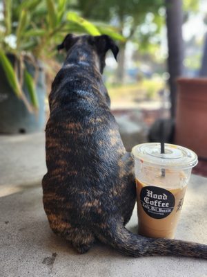 HOOD COFFEE - Updated June 2025 - 89 Photos & 79 Reviews - 604 W ...