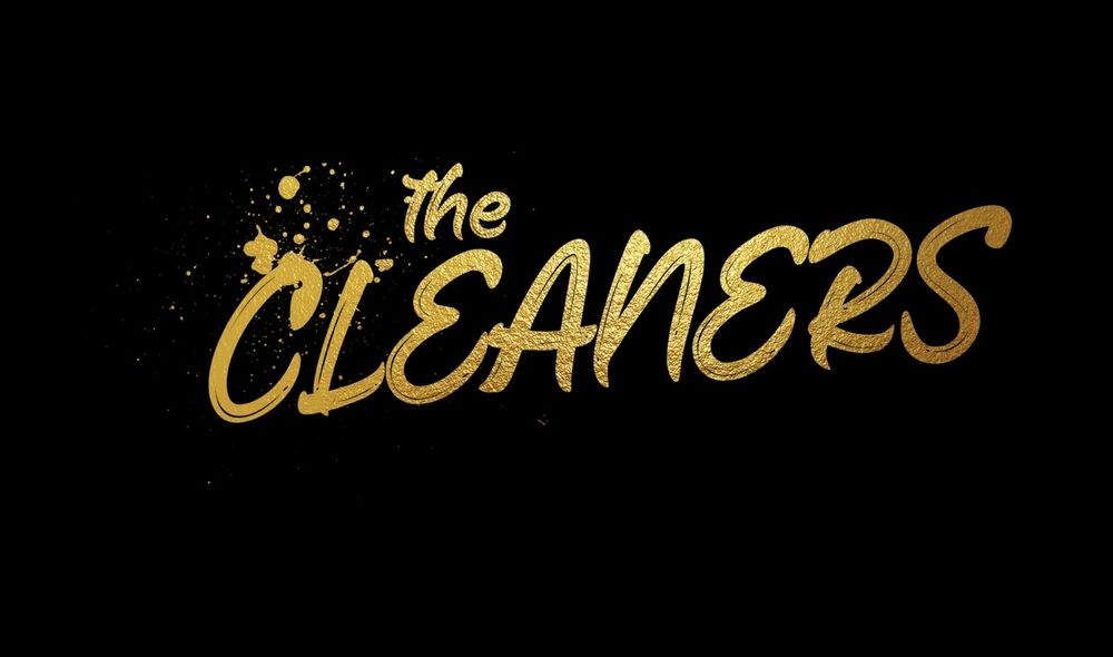 THE CLEANERS NV - Updated February 2025 - Request a Quote - Reno ...