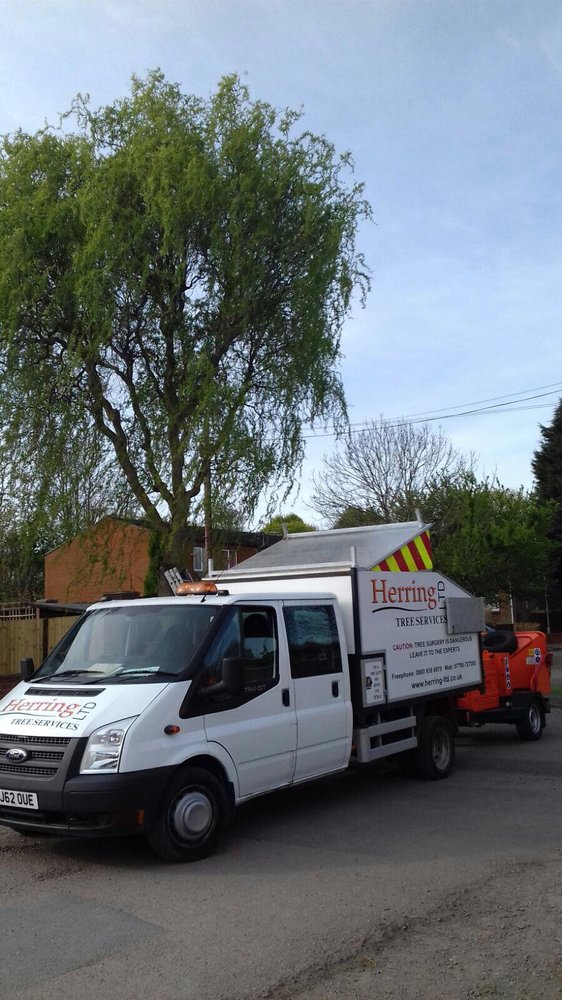 HERRING TREE SERVICES & LANDSCAPING - Updated April 2025 - 19 St Christophers Way Pride Park ...