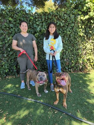 HUMANE SOCIETY OF THE NORTH BAY - Updated June 2026 - 68 Photos & 67 ...