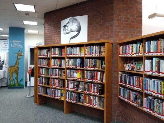 MILLER MEMORIAL CENTRAL LIBRARY - Updated October 2025 - 22 Photos ...