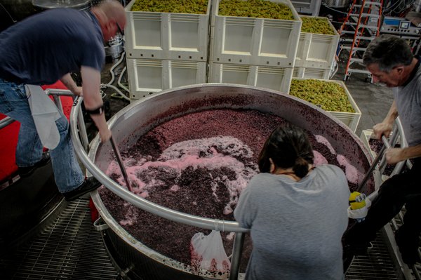 THE WINE FOUNDRY - Updated March 2025 - 74 Photos & 10 Reviews - 45 ...