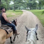 MEMORY LANE STABLES - 140 Photos & 74 Reviews - 8290 Kean Ave, Willow ...