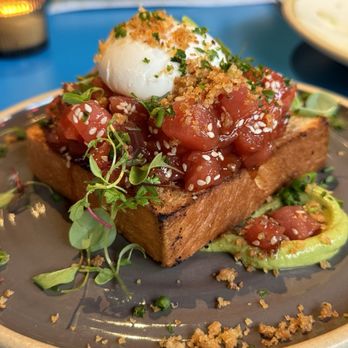 NEVER SAY DIVE - Updated April 2025 - 87 Photos & 33 Reviews - 4497 ...