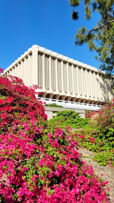 UNIVERSITY OF CALIFORNIA - Updated December 2025 - 342 Photos & 196 ...