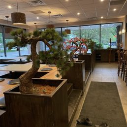 SANSU - Updated October 2025 - 364 Photos & 478 Reviews - 4750 S ...