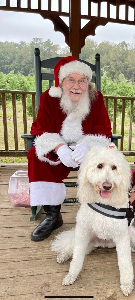 FISH RIVER TREES CHRISTMAS TREE FARM - Updated January 2026 - 26 Photos ...