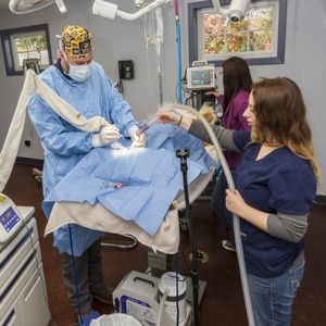 HIGH RIDGE ANIMAL HOSPITAL - Updated June 2025 - 13 Reviews - 2612 ...