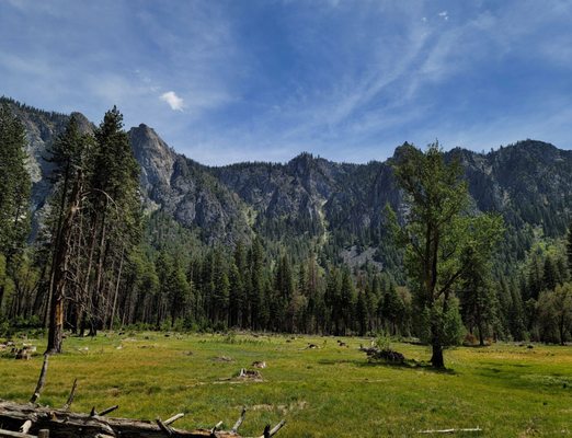 YOSEMITE VALLEY FLOOR TOUR - Updated May 2026 - 61 Photos & 50 Reviews ...