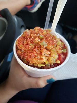 SILVIA’S RASPAS - Updated December 2025 - 15 Photos - 7609 US-83 Bus ...