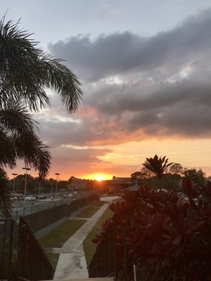 FEATHER SOUND COUNTRY CLUB - Updated January 2026 - 14 Photos & 12 ...