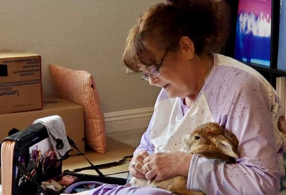 THE SPLOOTING RABBIT MOBILE GROOMING - Updated July 2024 - 54 Photos ...