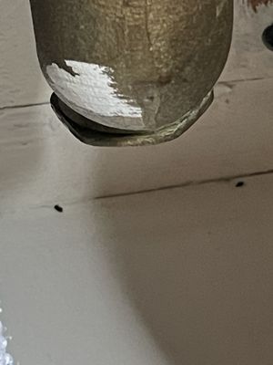 SOLIL MANAGEMENT - Updated May 2025 - 166 W 72nd St, New York, New York ...