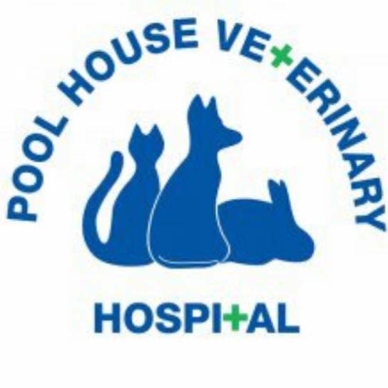 POOL HOUSE VETERINARY HOSPITAL - Updated April 2024 - 151 Cannock Road ...
