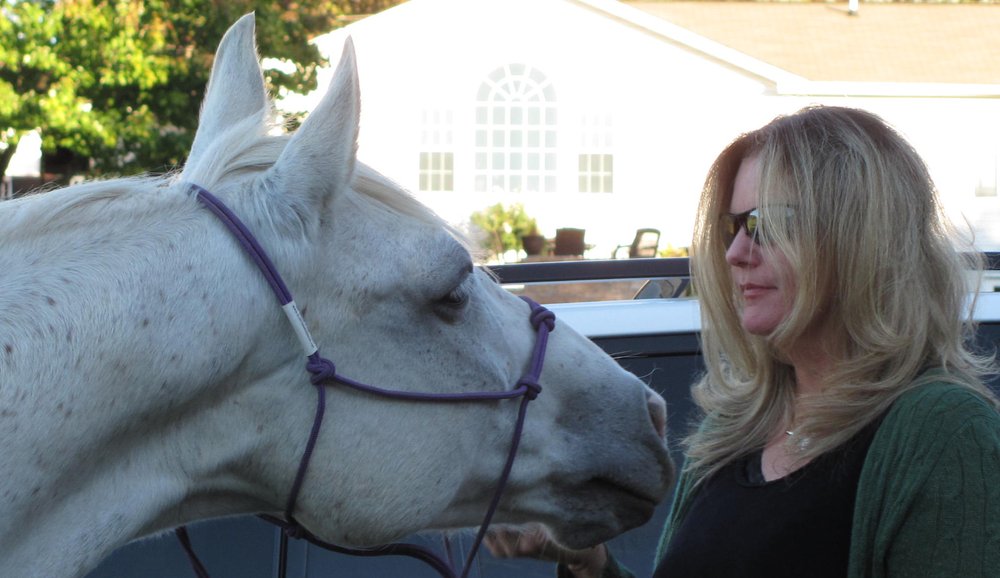 ANIMAL REIKI ALLIANCE - Updated July 2025 - 3730 Falls Road Rear ...