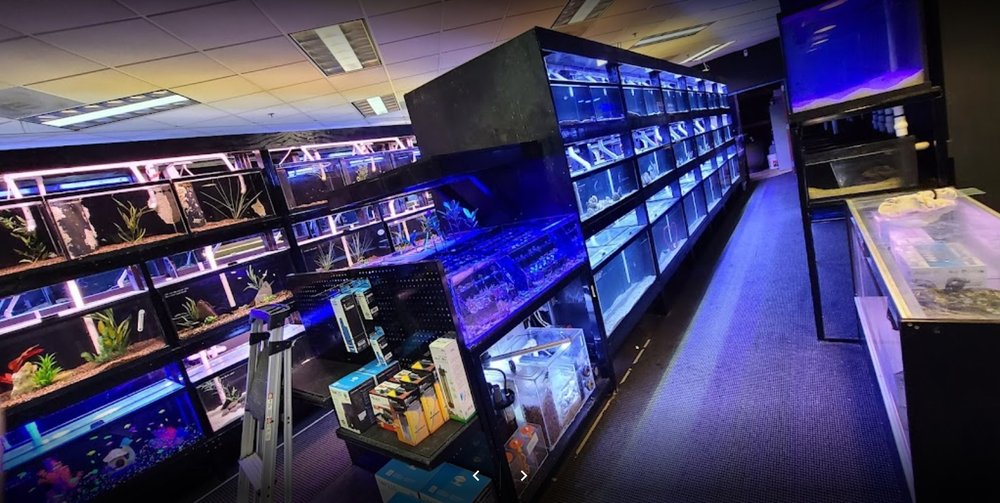 THE LOCAL FISH STORE - Updated October 2025 - 10 Photos & 10 Reviews ...