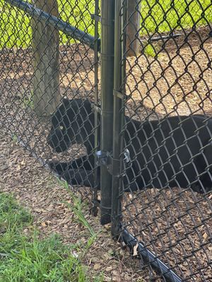 PANTHER RIDGE CONSERVATION CENTER - Updated December 2025 - 317 Photos ...