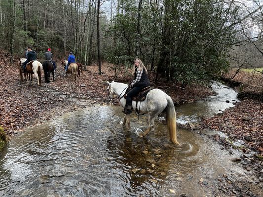 TRACKROCK STABLES - Updated September 2025 - 59 Photos & 29 Reviews ...