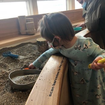 SEACOAST SCIENCE CENTER - 38 Photos & 40 Reviews - 570 Ocean Blvd, Rye ...