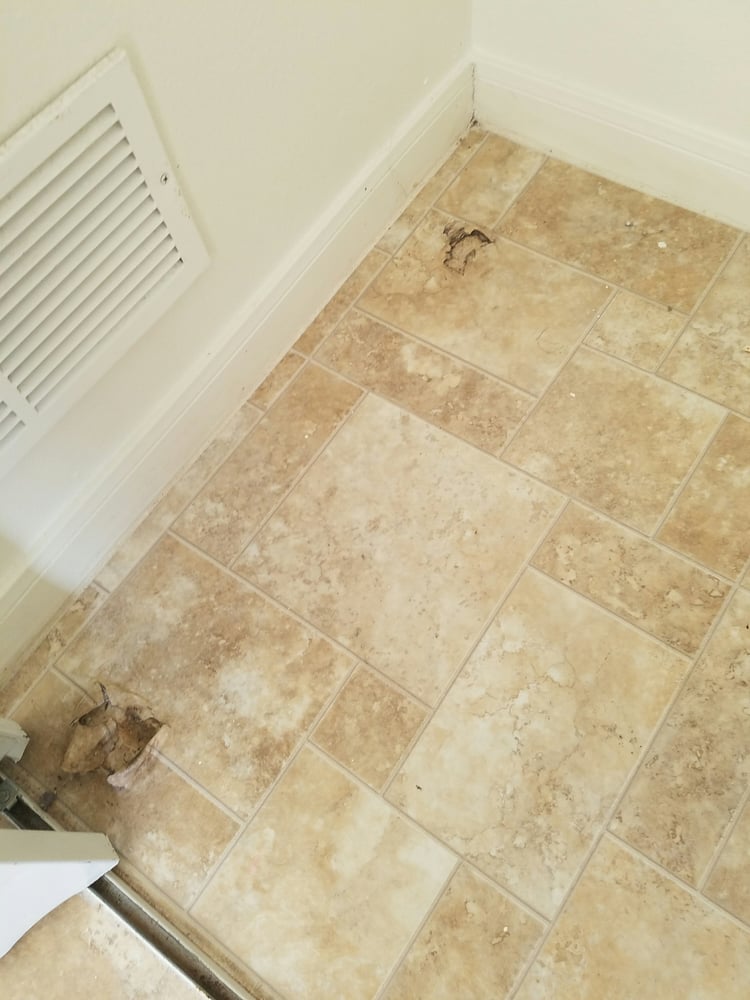 MAPLE GROVE VILLA’S - Updated October 2025 - 8602 Westown Pkwy, West ...