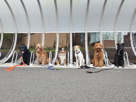 THE DOG SLOB - Updated October 2025 - 22 Photos & 11 Reviews - Boston ...