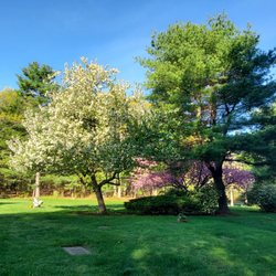 PURITAN LAWN MEMORIAL PARK - 35 Photos - Funeral Services & Cemeteries ...