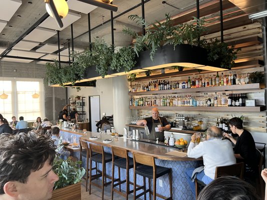 SALTBREAKER - 313 Photos & 110 Reviews - 2350 Saratoga St, Alameda ...