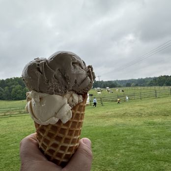 HOWLING COW DAIRY EDUCATION CENTER AND CREAMERY - Updated August 2025 ...