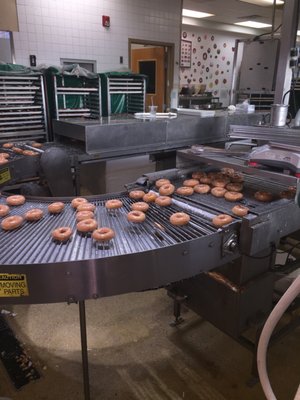 Amazing Krispy Kreme Donuts In Lubbock Texas Pictures