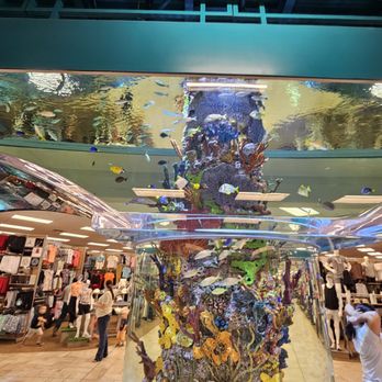 SCHEELS - Updated June 2025 - 813 Photos & 139 Reviews - 3199 W ...