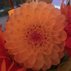 CRYSTAL BAY FARM - 125 Photos & 60 Reviews - Fruits & Veggies - 40 Zils ...