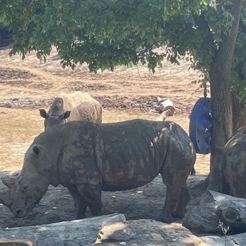 TULSA ZOO - Updated December 2025 - 551 Photos & 145 Reviews - 6421 E ...