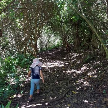 HAU’ULA LOOP TRAIL - Updated May 2024 - 131 Photos & 21 Reviews - 54-55 ...