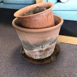 ALHAMBRA COURTHOUSE - 27 Photos & 40 Reviews - 150 W Commonwealth Ave ...