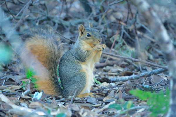 RAGLE RANCH REGIONAL PARK - Updated October 2025 - 65 Photos & 49 ...