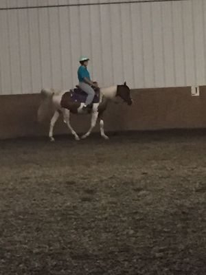 JACK PINE STABLES - Updated December 2024 - 12 Photos - 23940 291st Ave ...