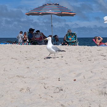 LAVALLETTE BEACH AND BOARDWALK - Updated December 2025 - 56 Photos & 14 ...