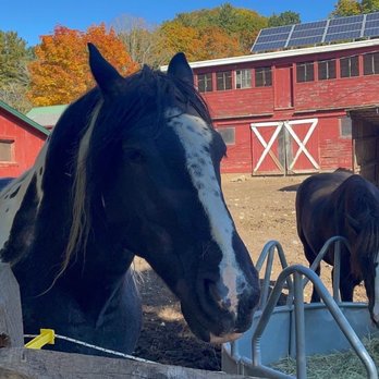 FLAMIG FARM - Updated November 2025 - 393 Photos & 73 Reviews - 7 ...