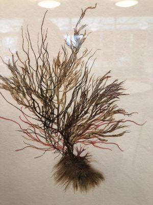 BETHPAGE PUBLIC LIBRARY - Updated October 2025 - 17 Photos & 12 Reviews ...