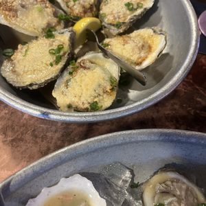 KELLY’S HALF SHELL PUB - 234 Photos & 230 Reviews - 390 N Suncoast Blvd ...