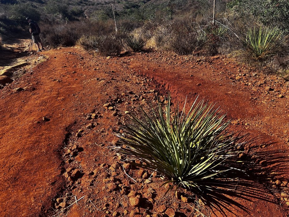 MCGINTY MOUNTAIN - Updated August 2025 - 60 Photos & 19 Reviews ...