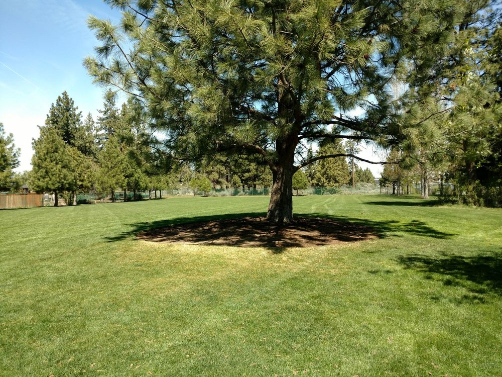 BLAKELY PARK - Updated March 2026 - 11 Photos - 1155 Brookswood Blvd ...