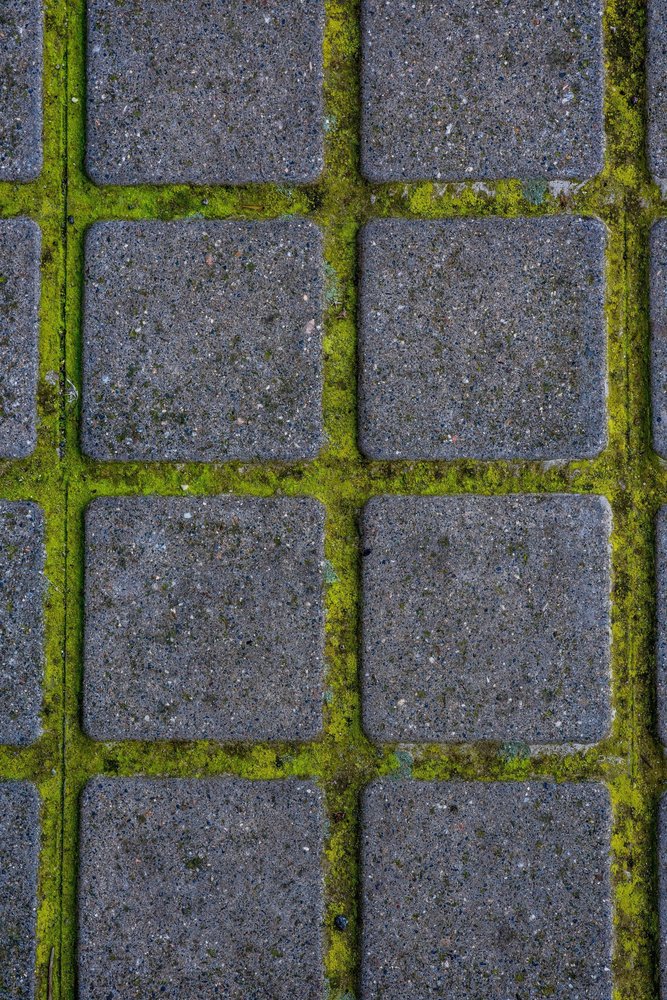 LOS ANGELES HARDWOOD FLOORING COMPANY - Updated October 2025 - Request ...