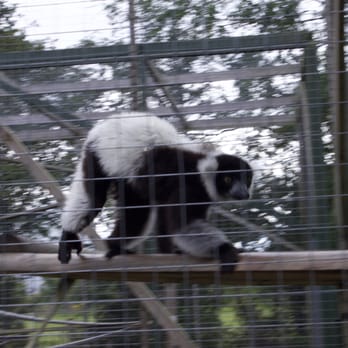 HOO FARM ANIMAL KINGDOM - Updated July 2025 - 69 Photos - Hoo Farm ...