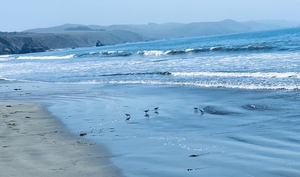 DORAN REGIONAL PARK - 626 Photos & 130 Reviews - 201 Doran Beach Rd ...