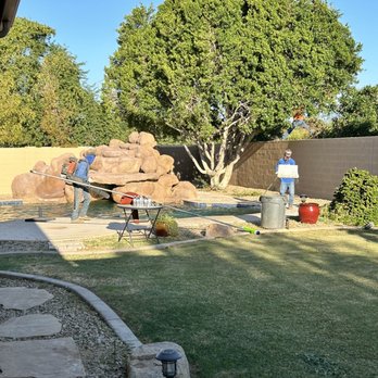 HAYWARD TREE SERVICE - Updated December 2025 - 109 Photos & 156 Reviews ...