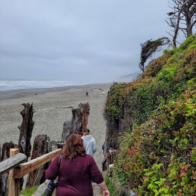 TREE OF LIFE - Updated May 2025 - 63 Photos & 22 Reviews - 101 Old ...