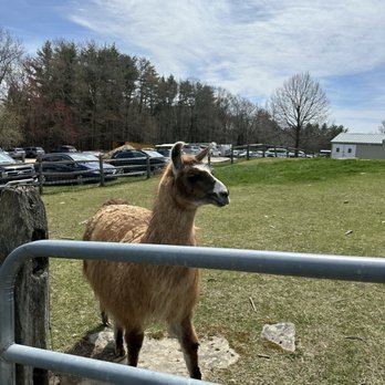 CHARMINGFARE FARM - Updated December 2025 - 40 Photos & 130 Reviews ...